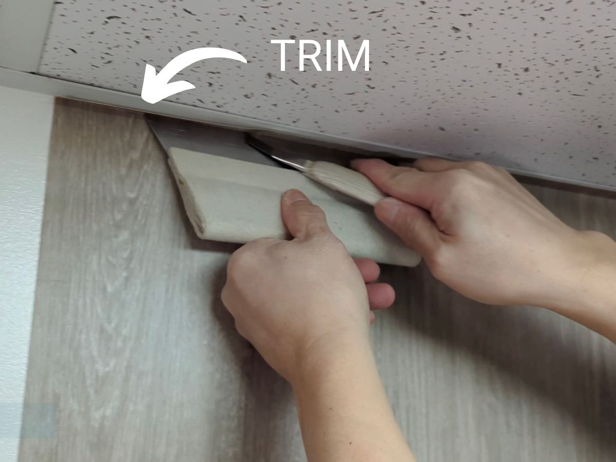 Overlap and Double Cut Tutorial ⋆ Nelcos